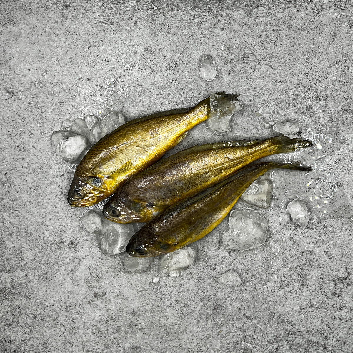 Yellow Croaker 小黄鱼 (Small) 500g/pkt | Lykkefish Singapore