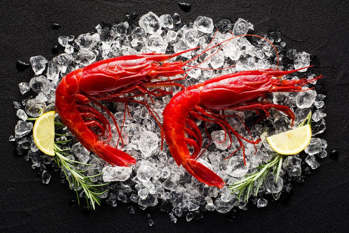 Scarlet Prawn (Carabineros) 长带似须虾 400g/box | Lykkefish Singapore